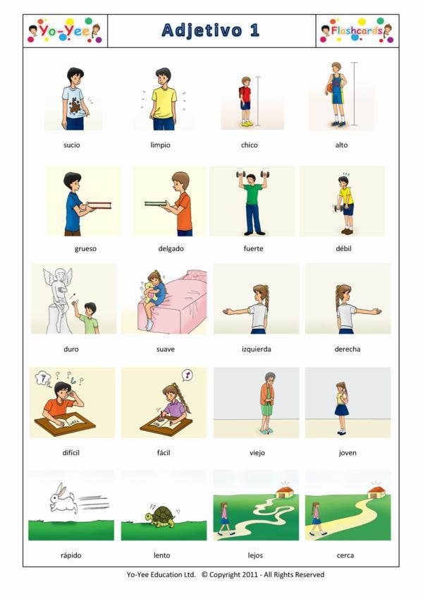 Descriptive Adjectives Flash Cards for Kids